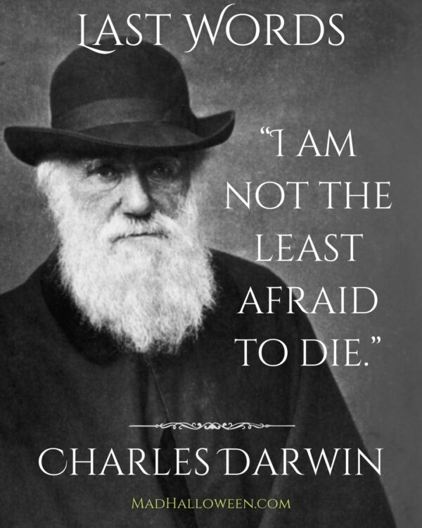 Famous Last Words Quotes Of The Departed - Mad Halloween